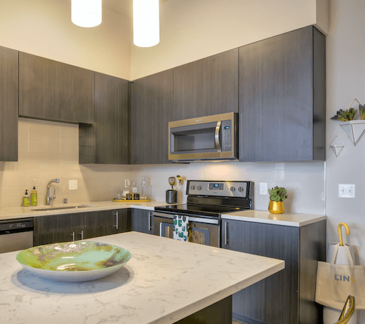 The Link Minneapolis | Minneapolis, MN Luxury Apartments near UMN